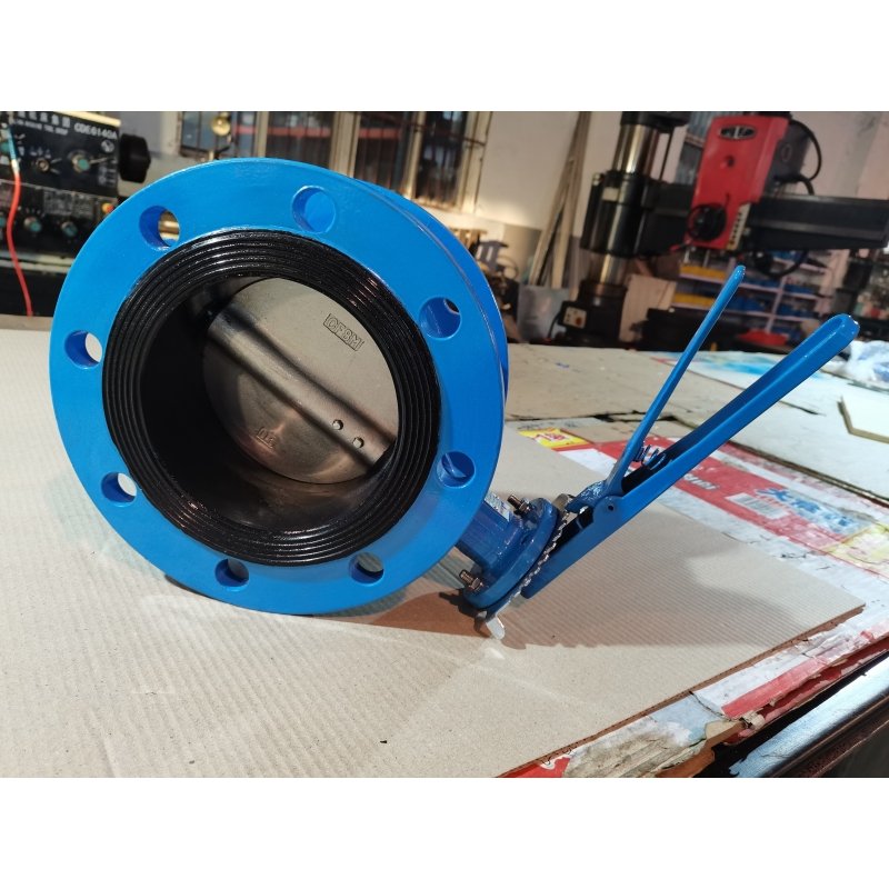 Concentric Flanged Butterfly Valve - Industrial Valves, Butterfly Valve ...