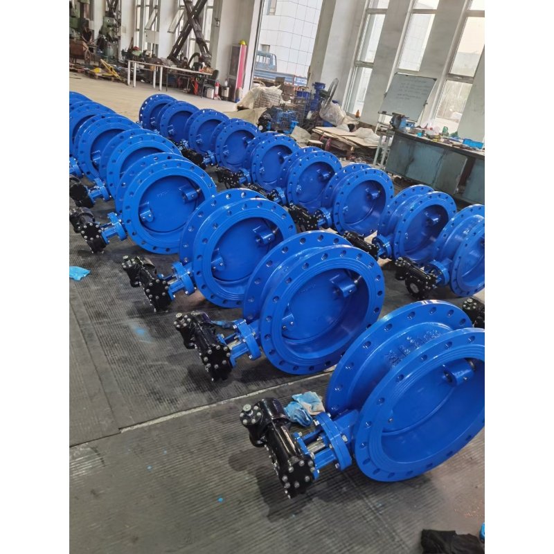 Double Eccentric Butterfly Valve - Industrial Valves, Butterfly Valve ...