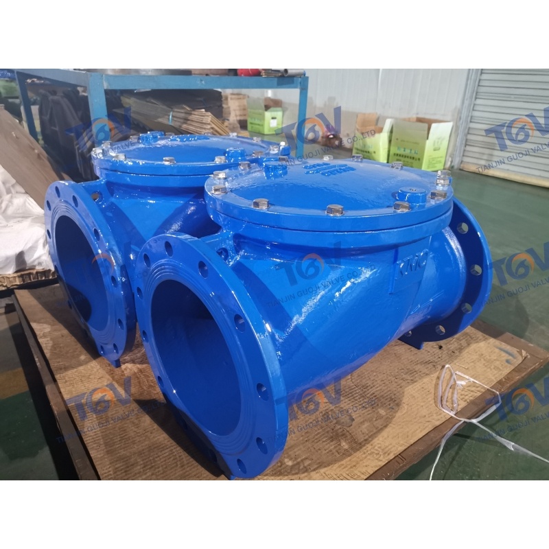 Rubber Disc Check Valve - Industrial Valves, Butterfly Valve, Check ...