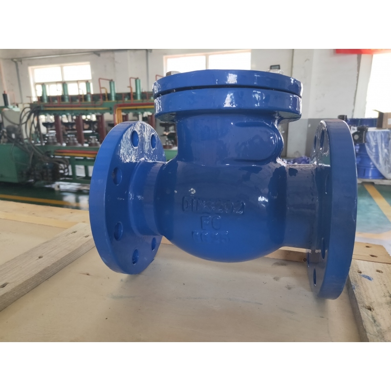 Swing Check Valve - Industrial Valves, Butterfly Valve, Check Valve, Gate Valve ｜ TGV Valves